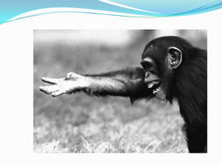 Unique animal - Being Human - | PPTX