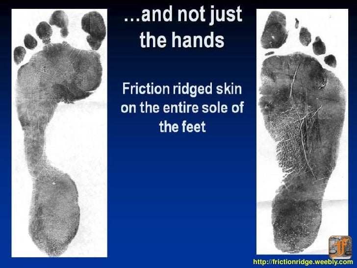 Uniqueness and permanence of friction ridge
