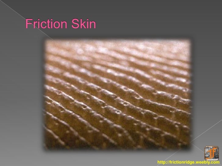 Uniqueness and permanence of friction ridge