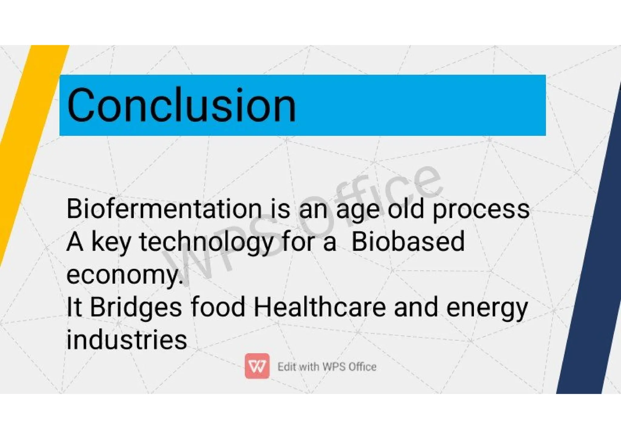 unique presentation on biofermentation.pdf