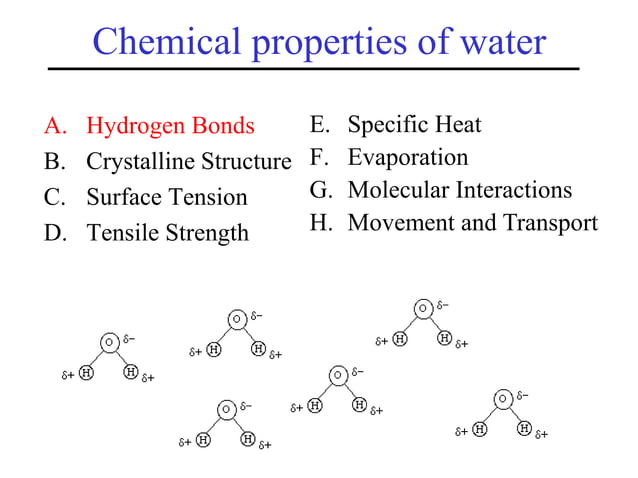 Unique properties of water overview | PPTX