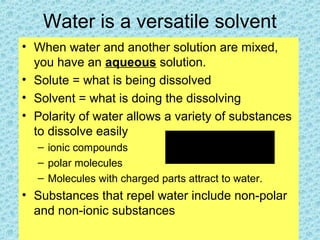 Unique properties of water | PPT