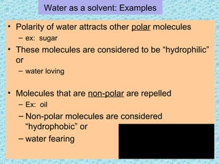 Unique properties of water | PPT