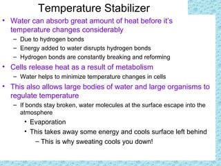 Unique properties of water | PPT