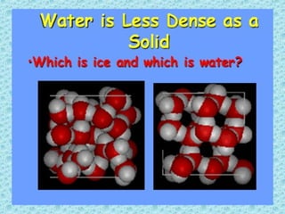 Unique properties of water | PPT
