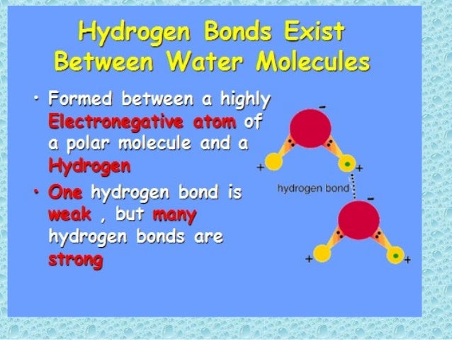 7 Unique Properties Of Water