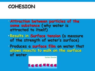 unique properties of water.pptx