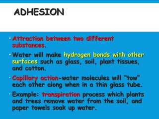 unique properties of water.pptx