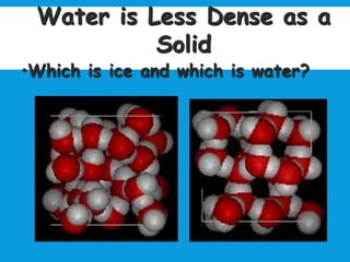 unique properties of water.pptx