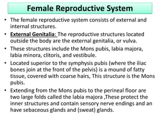 Unit-04 Part (A) Female Reproductive Disorders Provided By Khyber ...