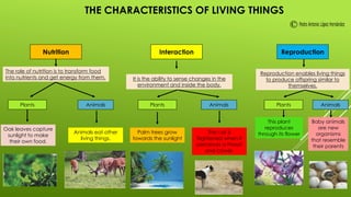 Unit 1.-the-organisation-of-living-things | PPT