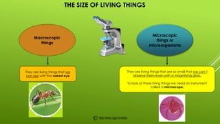 Unit 1.-the-organisation-of-living-things | PPT