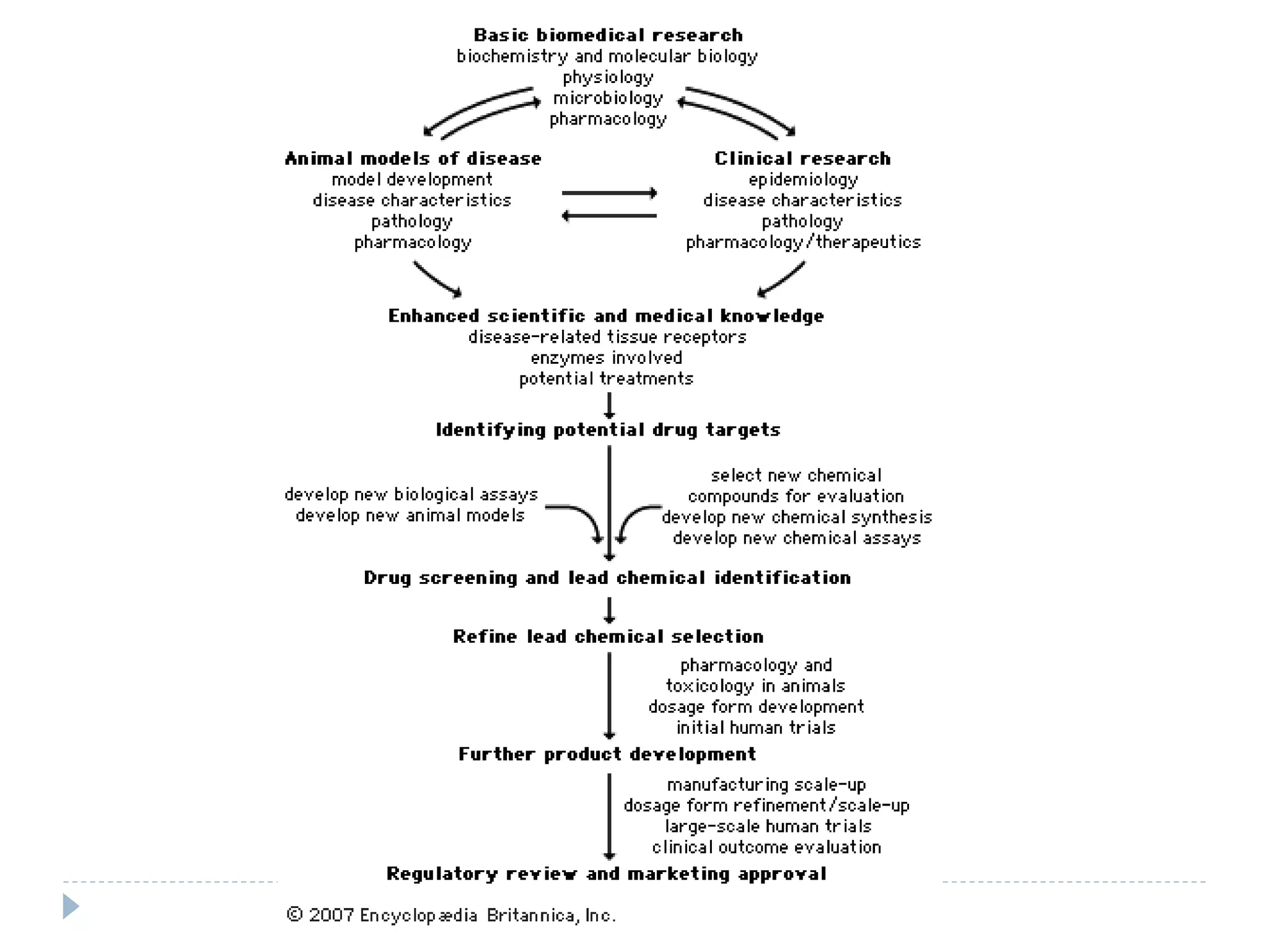 Introduction to Biopharmaceutical Technology | PPTX