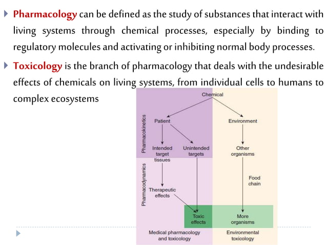 Introduction to Biopharmaceutical Technology | PPTX | Pharmaceutical ...
