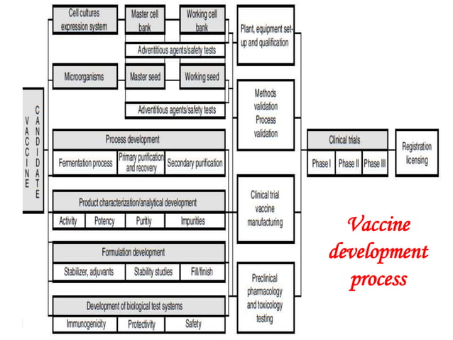 Introduction to Biopharmaceutical Technology | PPTX | Pharmaceutical ...
