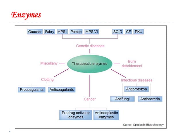 Introduction to Biopharmaceutical Technology | PPTX | Pharmaceutical ...