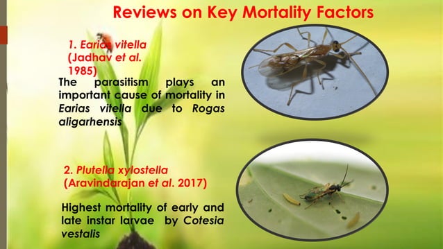 Characterization of Distribution of insects- Indices of Dispersion ...