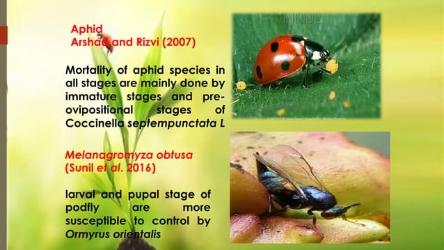 Characterization of Distribution of insects- Indices of Dispersion ...