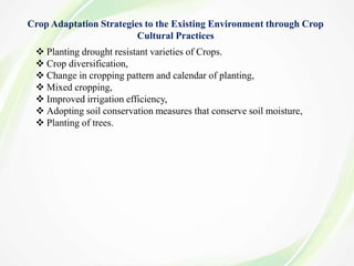 CROP MANAGEMENT STRATEGIES | PPTX