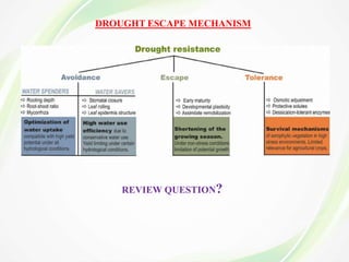 CROP MANAGEMENT STRATEGIES | PPTX