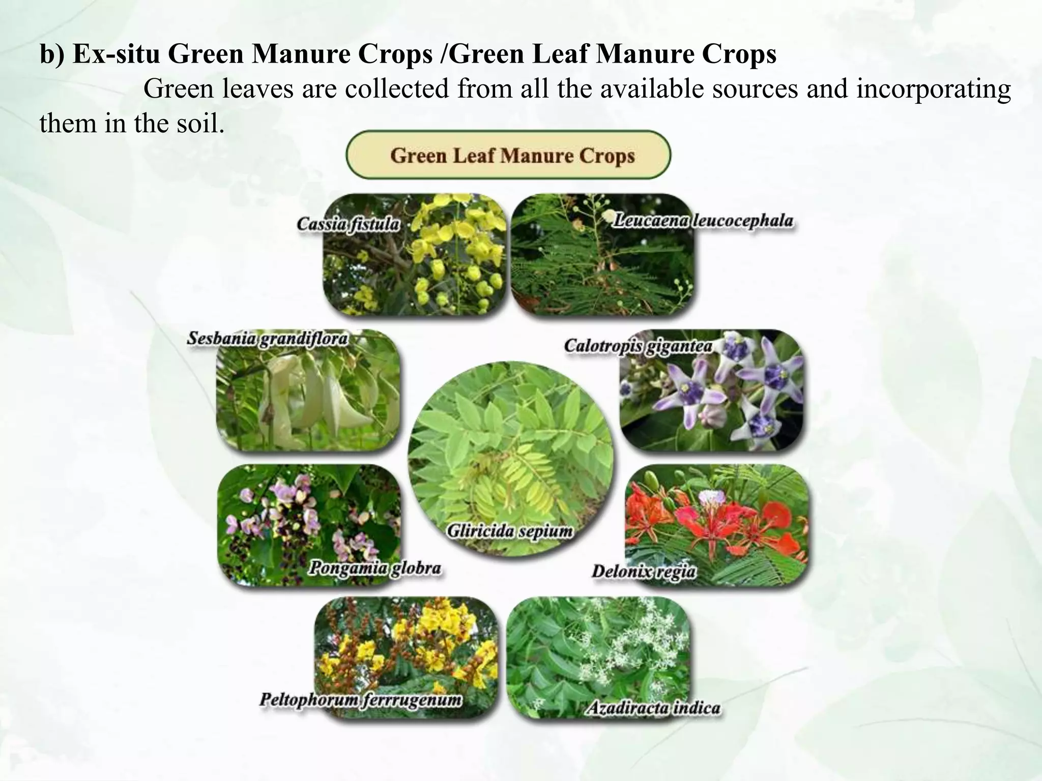 CLASSIFICATION OF FIELD CROPS | PPTX