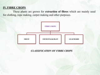 CLASSIFICATION OF FIELD CROPS | PPTX