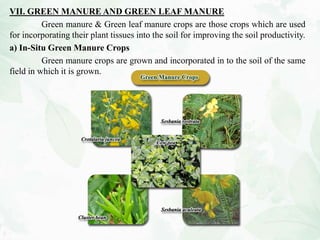CLASSIFICATION OF FIELD CROPS | PPTX