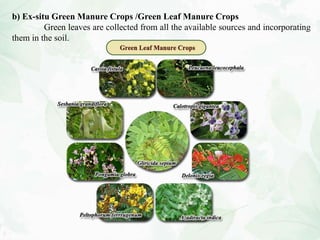 CLASSIFICATION OF FIELD CROPS | PPTX