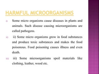 microorganism/microbiology/pathogens.pptx | Infectious Diseases ...