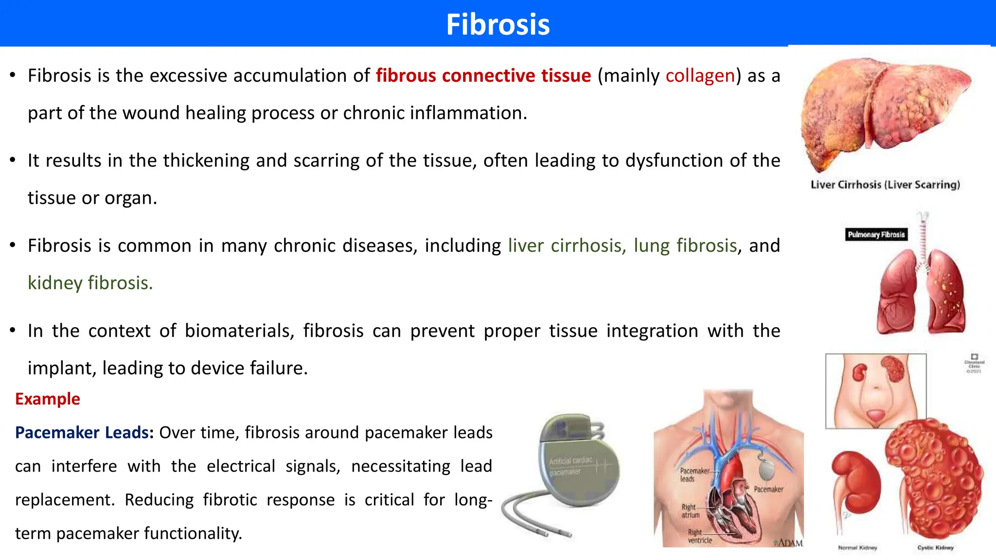 Biological Interactions with Materials - Nanobiotechnology | PDF