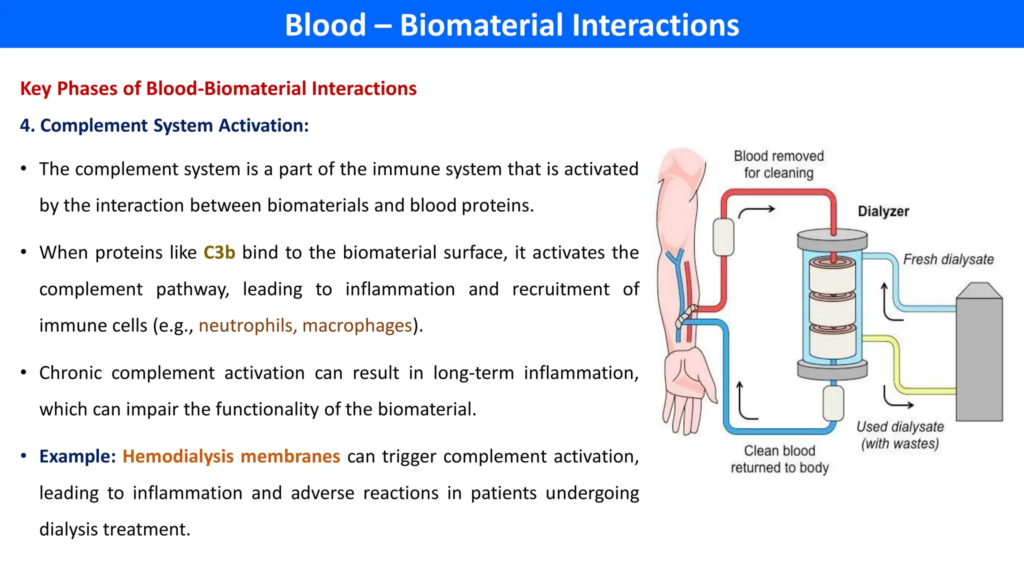 Biological Interactions with Materials - Nanobiotechnology | PDF