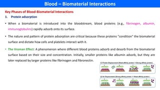 Biological Interactions with Materials - Nanobiotechnology | PDF