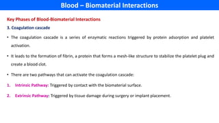 Biological Interactions with Materials - Nanobiotechnology | PDF