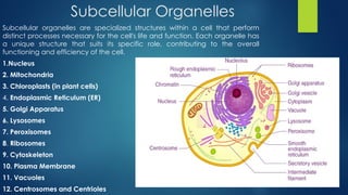 Introduction to Biochemistry Biochemistry is a branch of science that ...