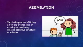 Unit-1.2-Piagets-Stages-of-Cognitive-Development1.pptx