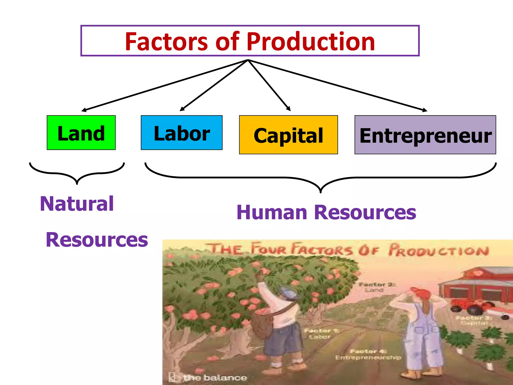 Basic Concepts of Economics | PDF