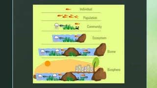 UNIT-1-ECOSYSTEM.pptx