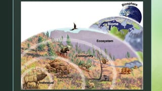 UNIT-1-ECOSYSTEM.pptx