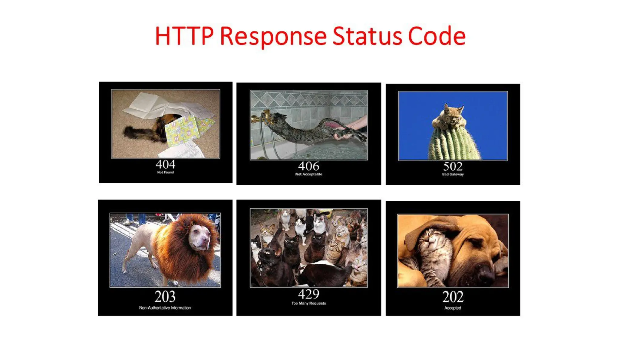 Unit - 1 - Introduction to Web Design | PDF