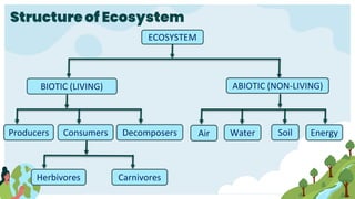 EVS Notes- Ecosystem, Biotic, Abiotic, Ecological succession | PPTX