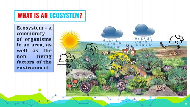 UNIT-1-The-Biosphere-Past-Present. Ecology | PPT