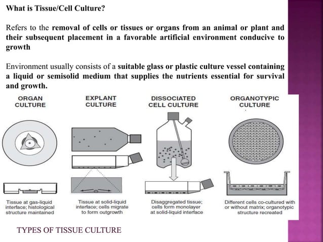 UNIT- 10 ANIMAL CELL CULTURE TECHNIQUES (3).pptx | Biological Sciences ...