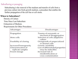 UNIT- 10 ANIMAL CELL CULTURE TECHNIQUES (3).pptx