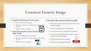 Unit - 11 File Management.pptx | Web Design and HTML | Internet
