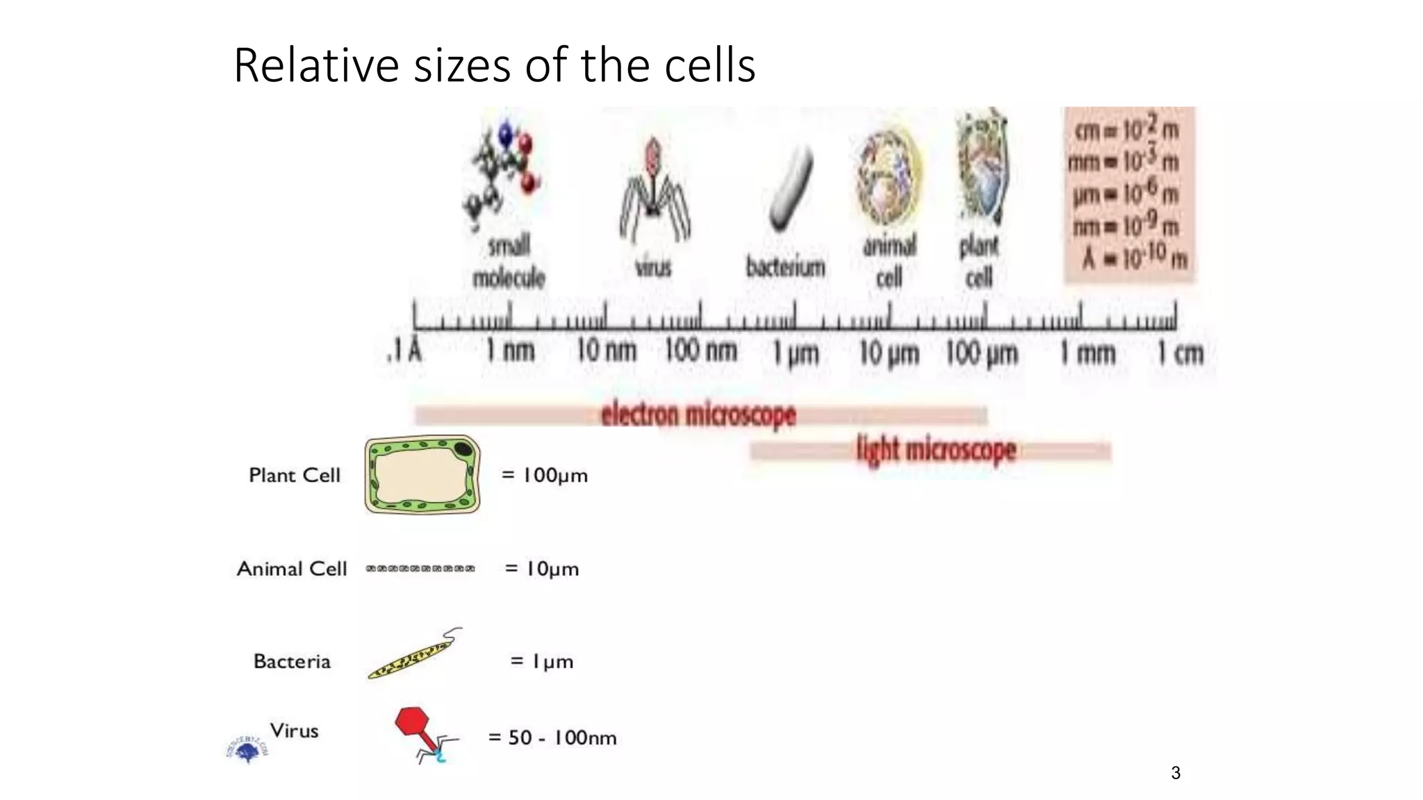 UNIT - 1_1 to 80.pptx