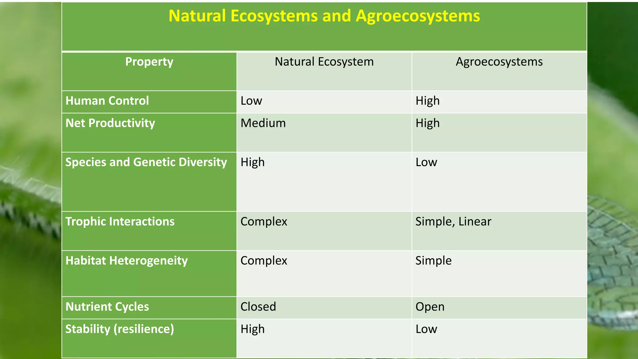 Agro- ecological vs Natural Ecosystem of Insects | PDF