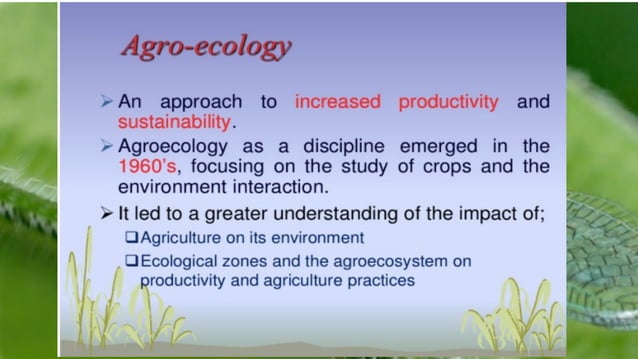 Agro- ecological vs Natural Ecosystem of Insects | PDF