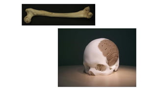 History Development of AM systems. Overview of Additive Manufacturing ...