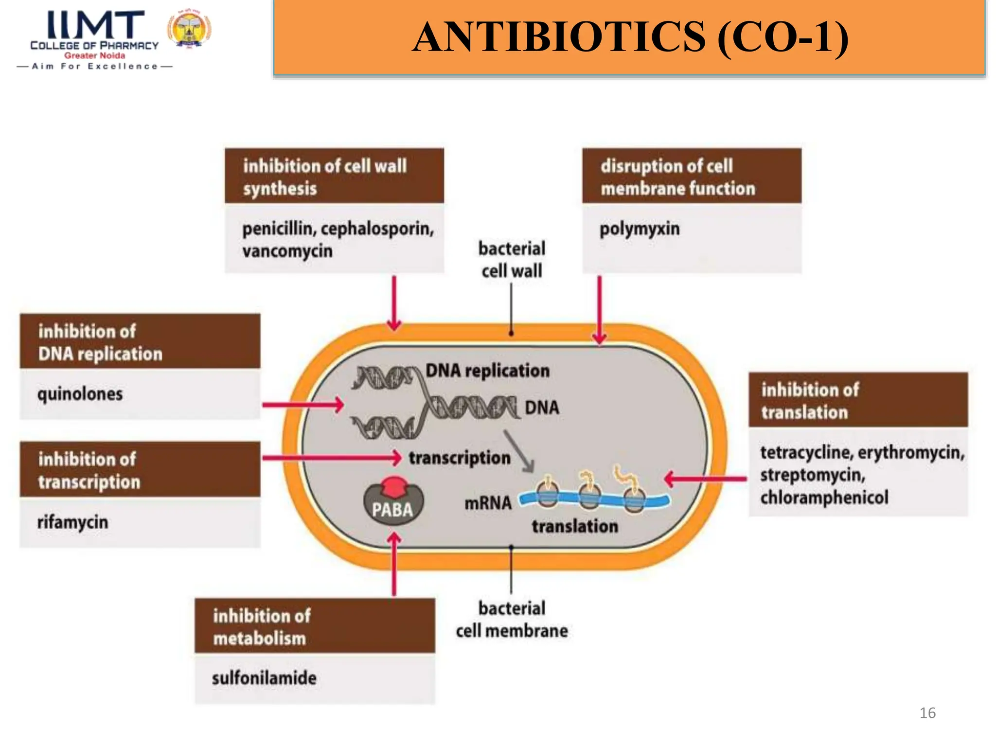 UNIT-1 ANTIBIOTIC.pptx UNIT 1 B.PHARM 601T | PPTX