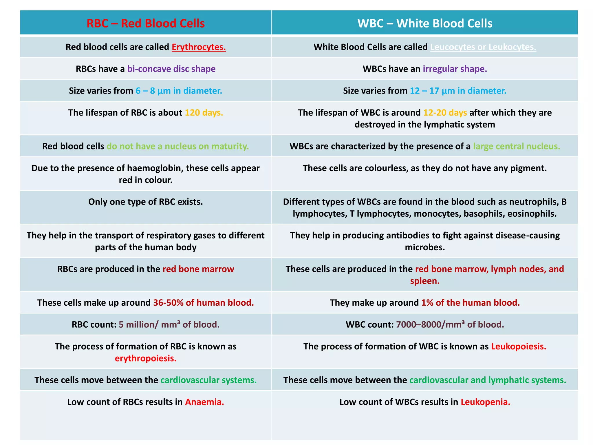 blood and its functions/B.pharmacy 2 semester | PPTX